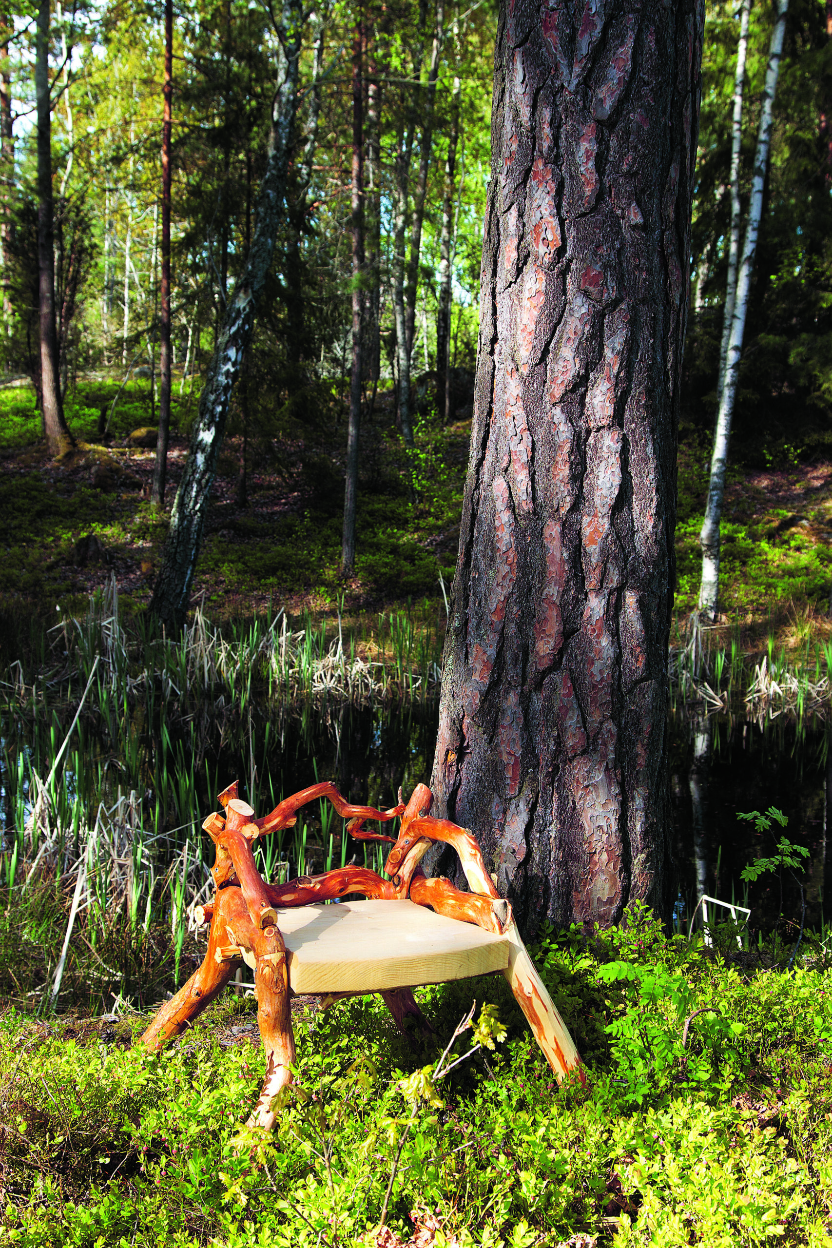 DIY Pine Branch Chair - Grit